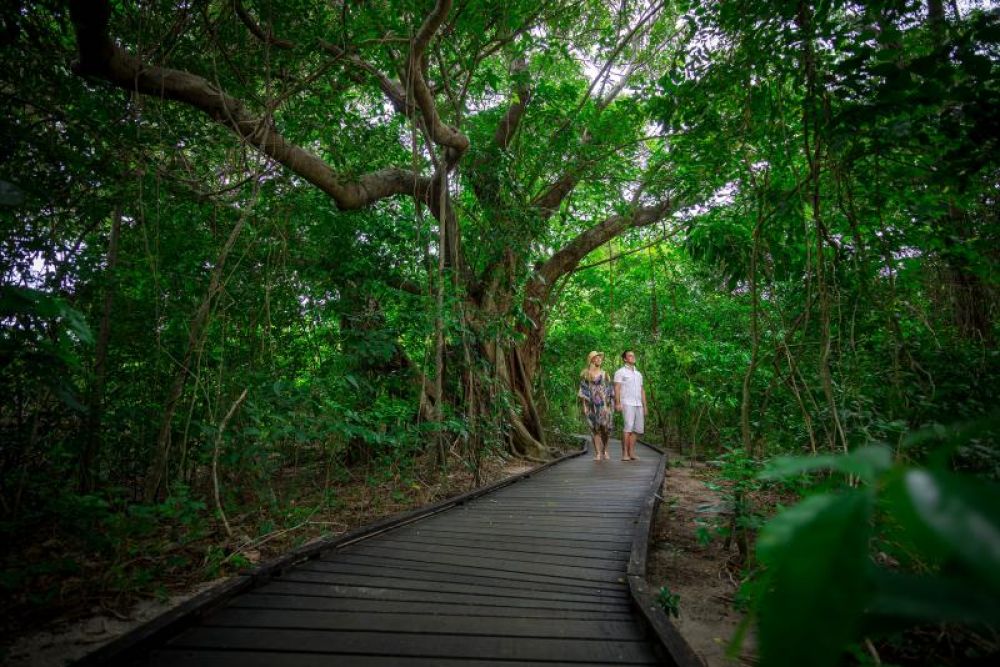 Green Island Transfers